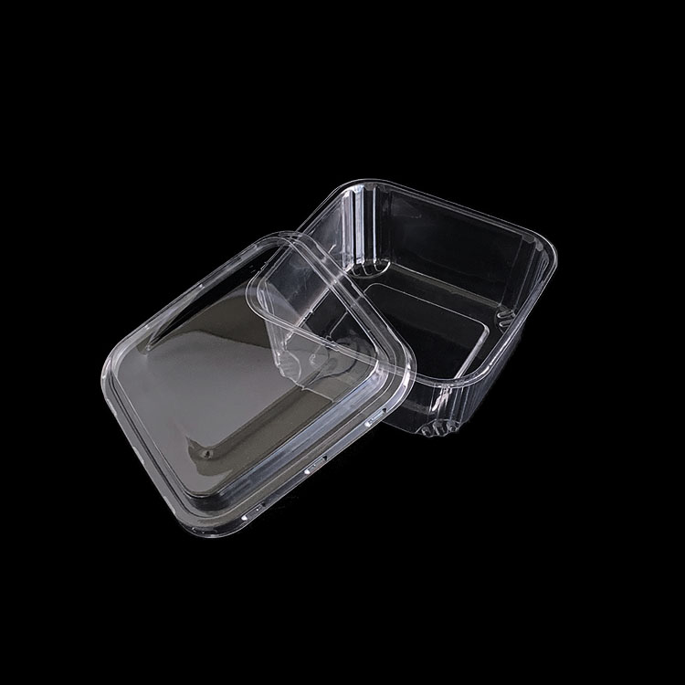 Square Plastic Food Container With Lid - Reliancepak