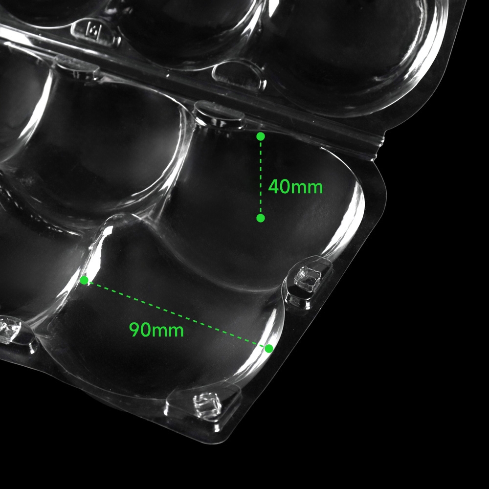 6 Cavities Disposable Clamshell Plastic Box Fruit Packaging Container ...
