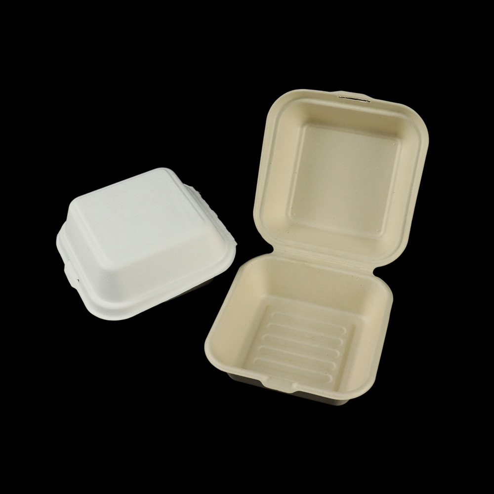Why the Future of Takeaway Boxes Lies in Eco-Friendly Innovation ...