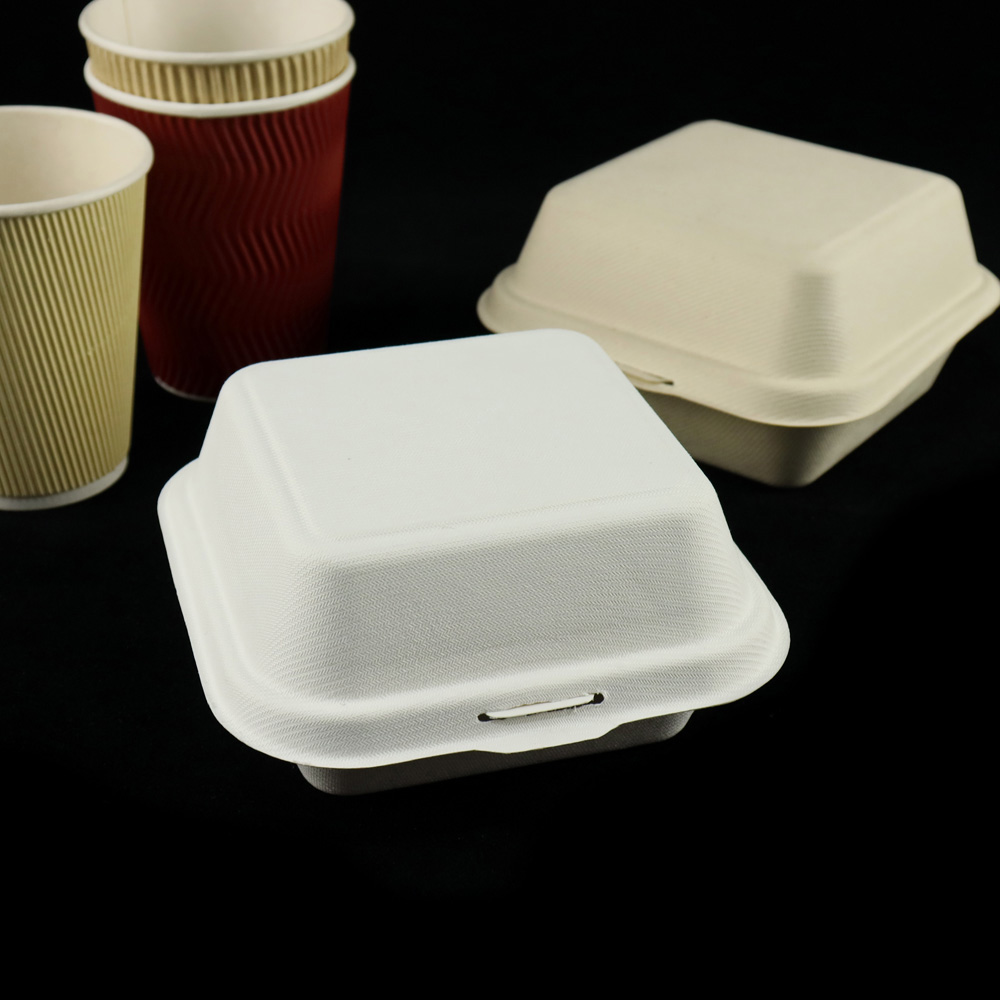 Takeaway Packaging Secrets: How to Keep Food Safe and Fresh Every Time ...