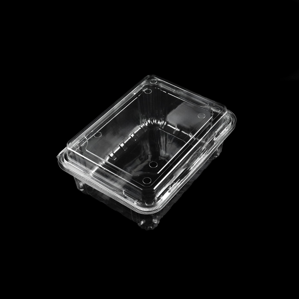 Clamshell PET Material Disposable Clear Plastic Food Box for Sandwich ...